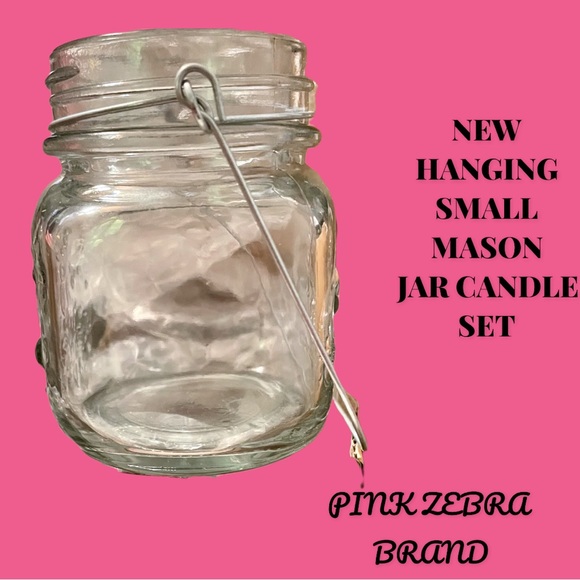 Pink Zebra | Accents | Nib Pink Zebra Hanging Glass Mason Jar Petites 6 ...